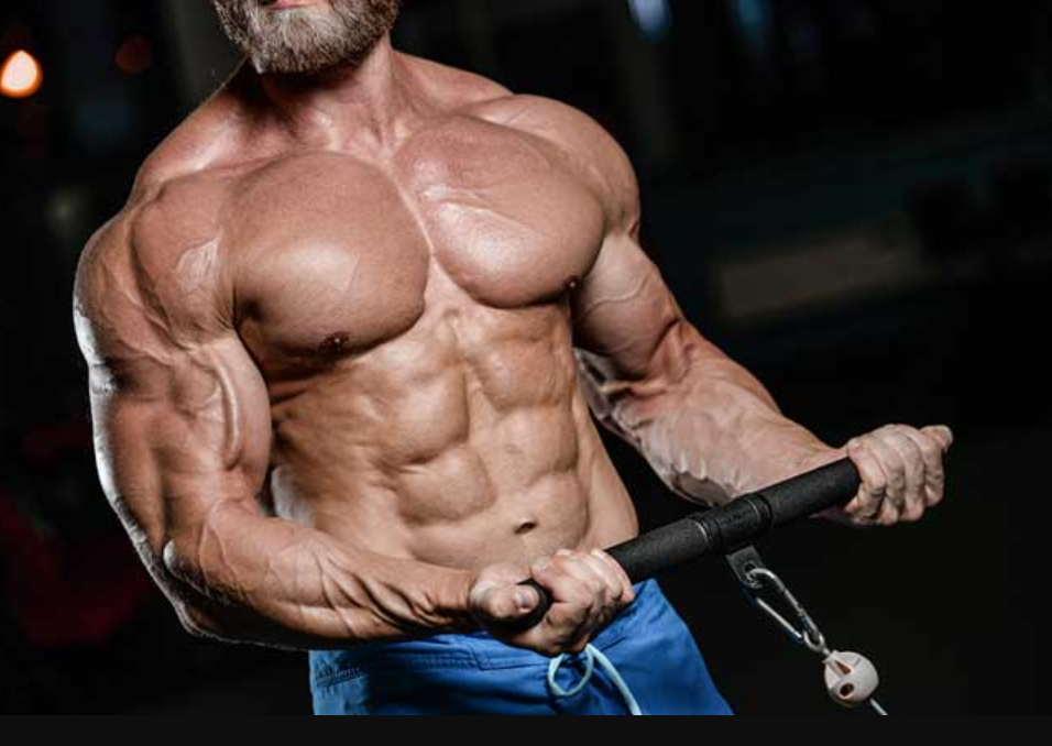 Swole blood | Best Fitness Solutions